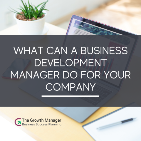 What Can A Business Development Manager Do For Your Company