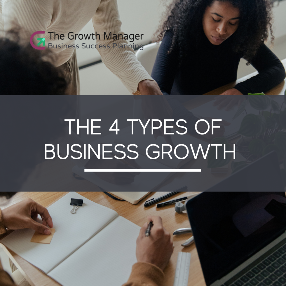 The 4 Types of Business Growth - The Growth Manager