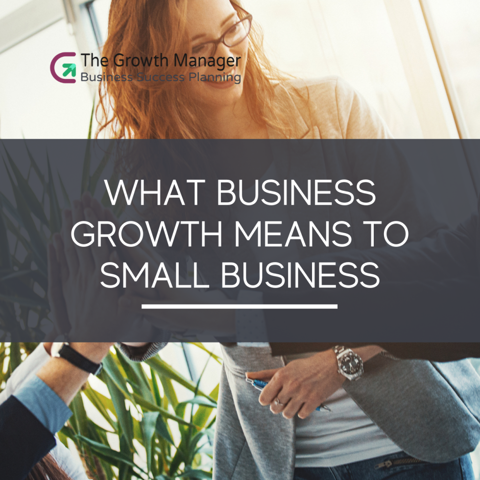 What Business Growth Means to Small Business - The Growth Manager